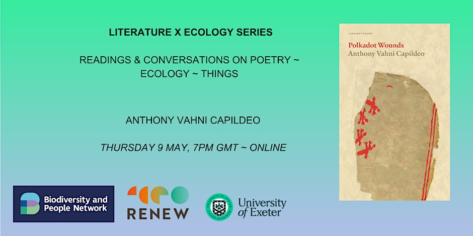LITERATURE X ECOLOGY SERIES - RENEW